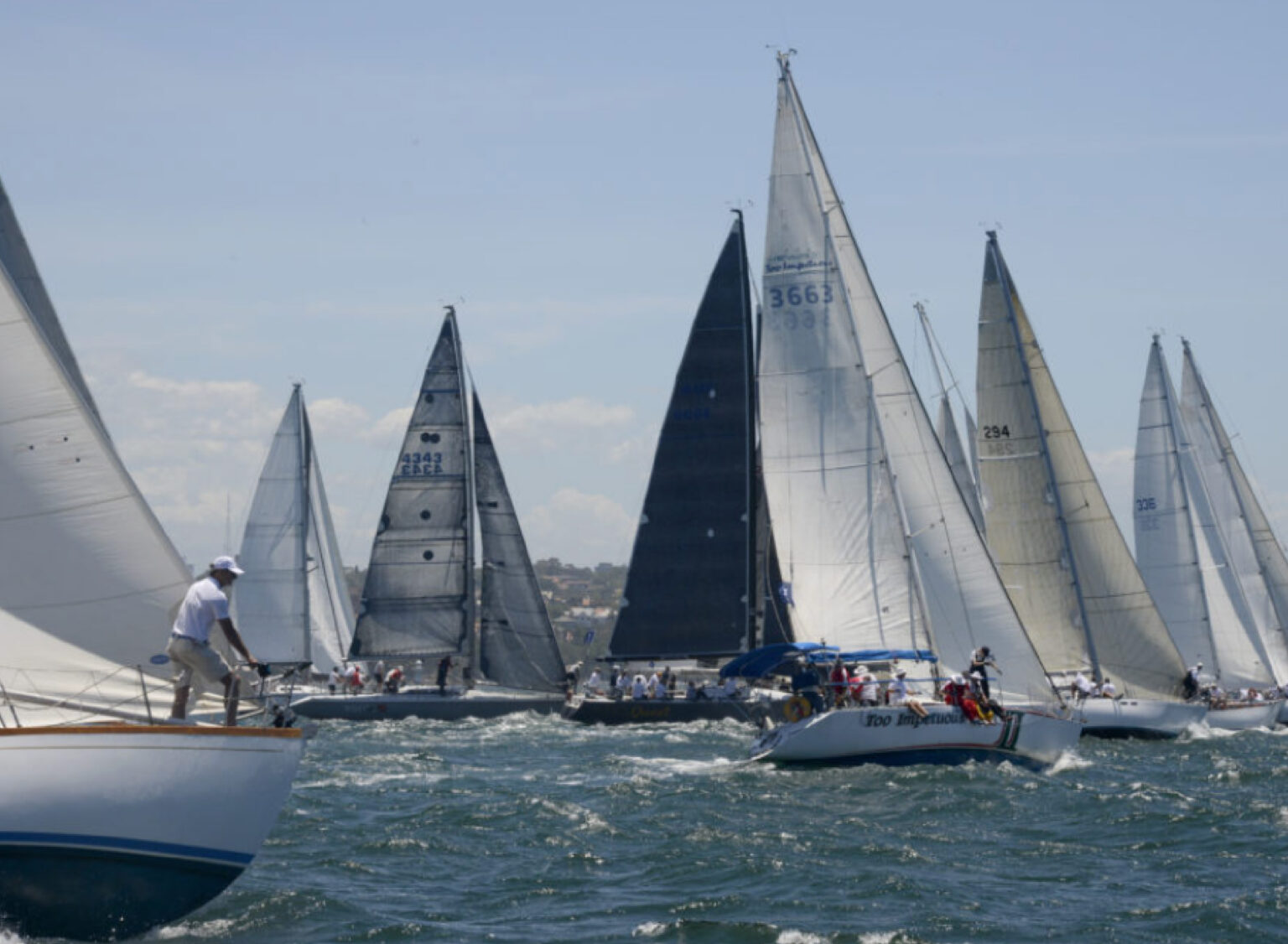 Sailing - Sydney Amateur Sailing Club