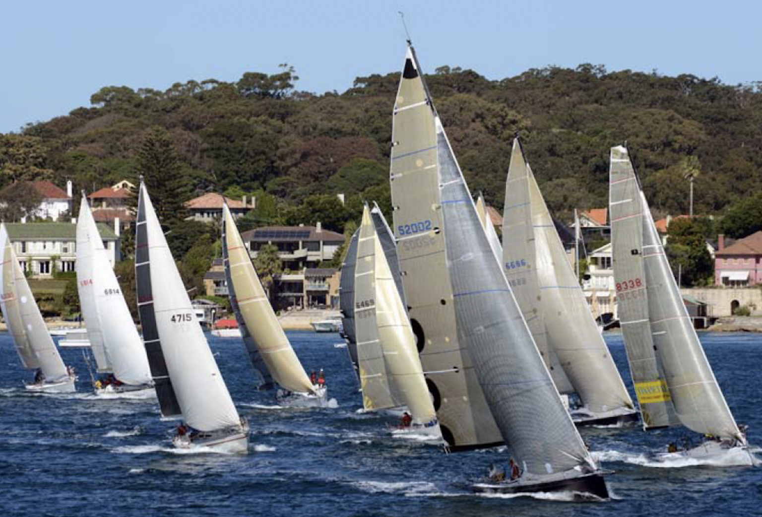 Home - Sydney Amateur Sailing Club